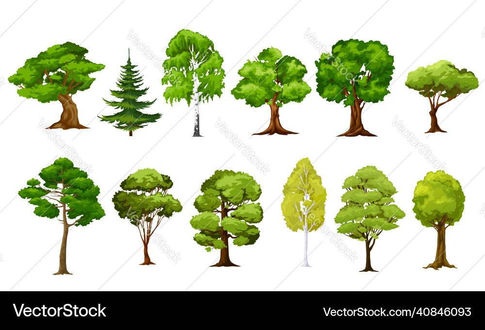 Cartoon isolated forest and garden trees Vector Image