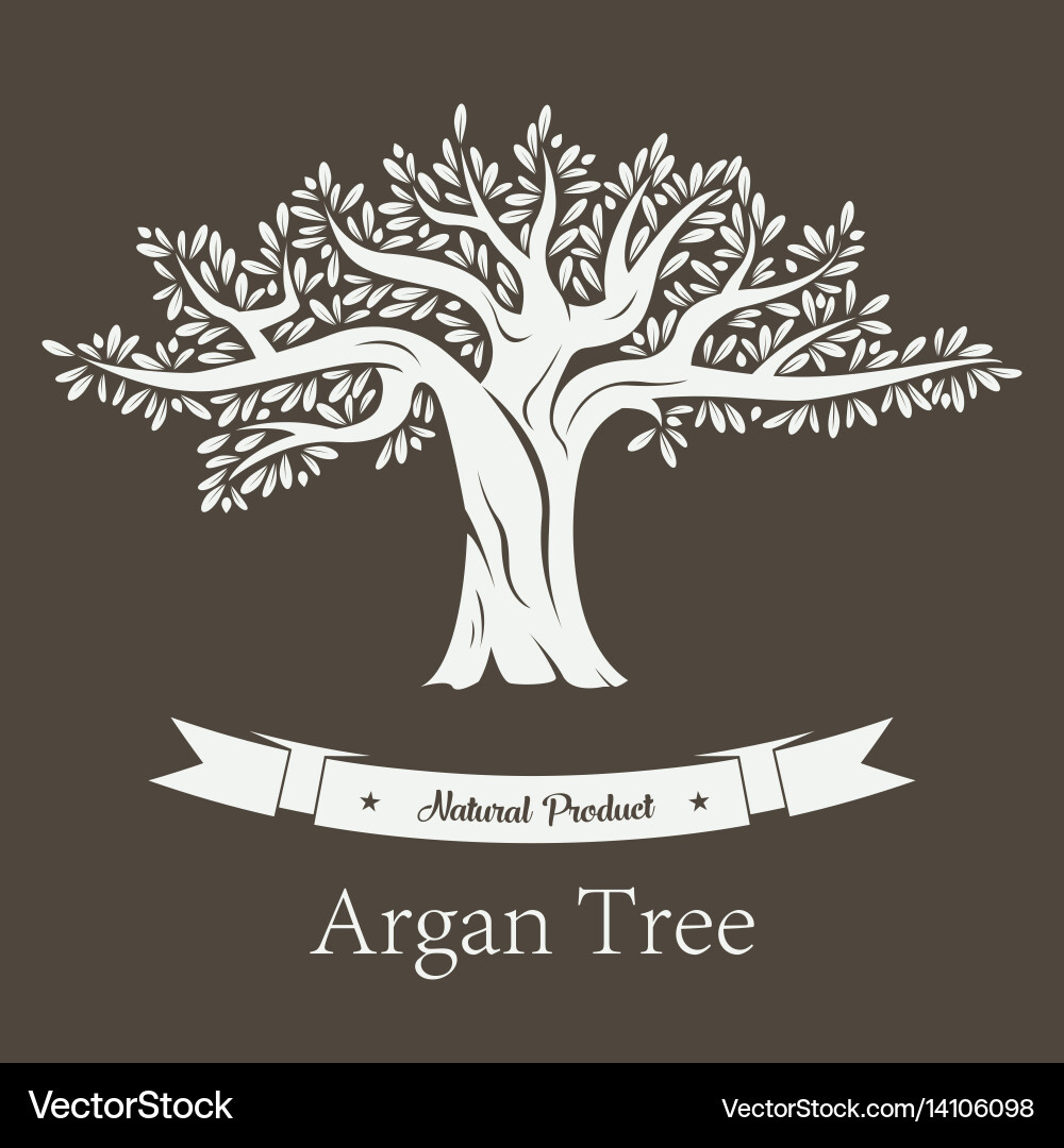 Argan plant or argania flora fruit tree Royalty Free Vector