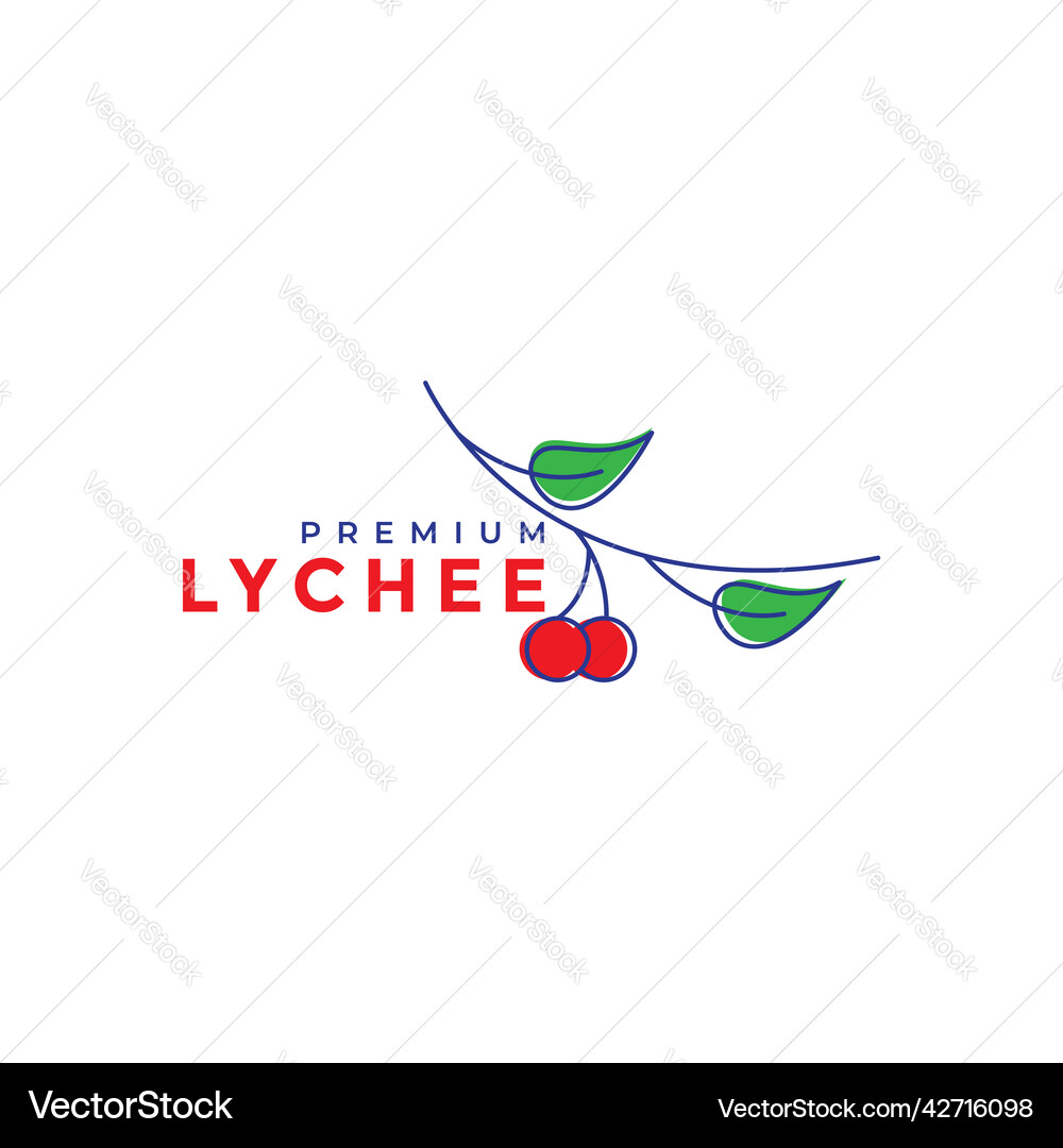 Line abstract branch lychee logo design graphic Vector Image