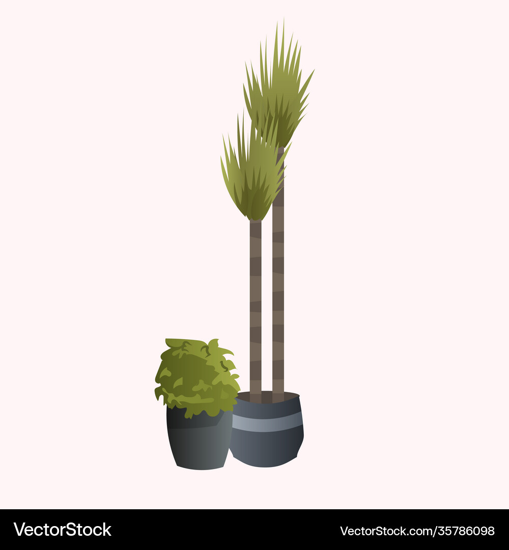 Potted plant isolated on white background Vector Image