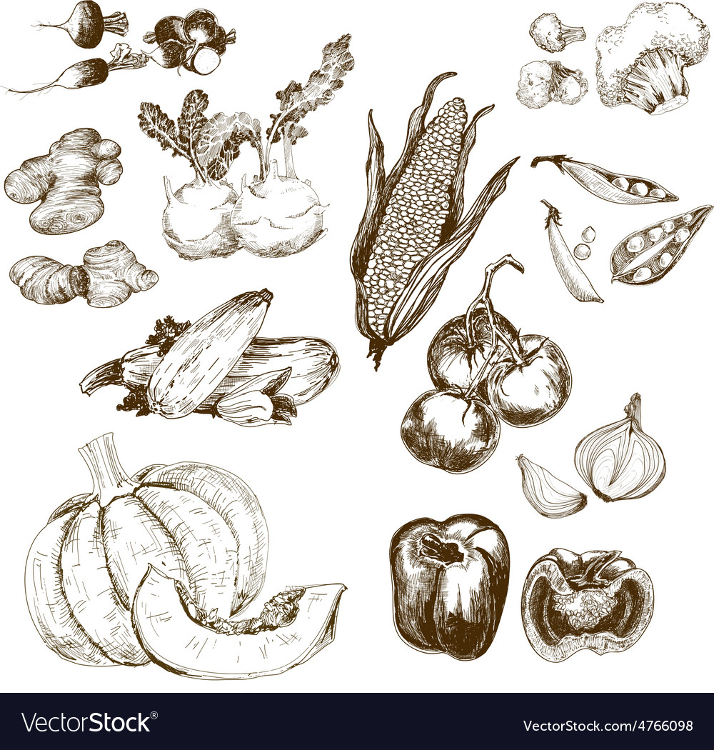 Vegetables collection Royalty Free Vector Image