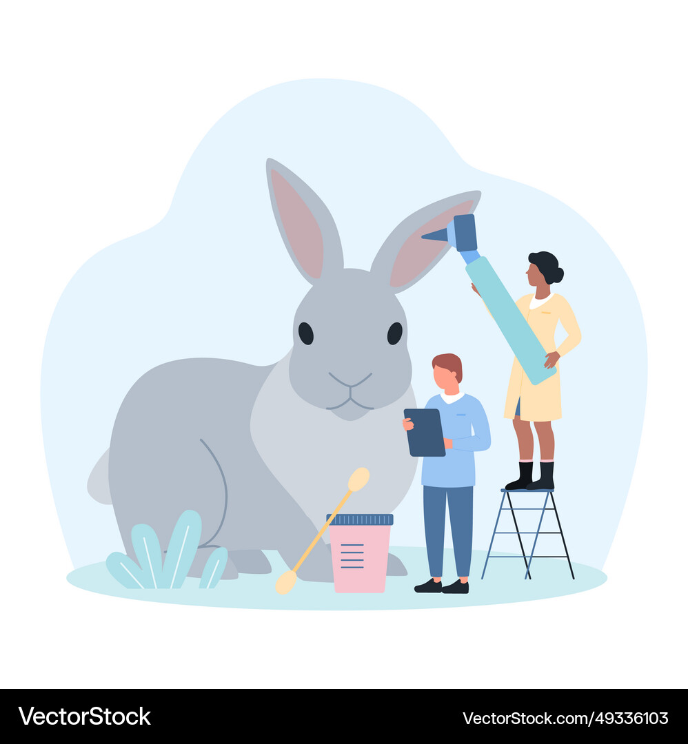 Examination of rabbit by veterinarian tiny Vector Image
