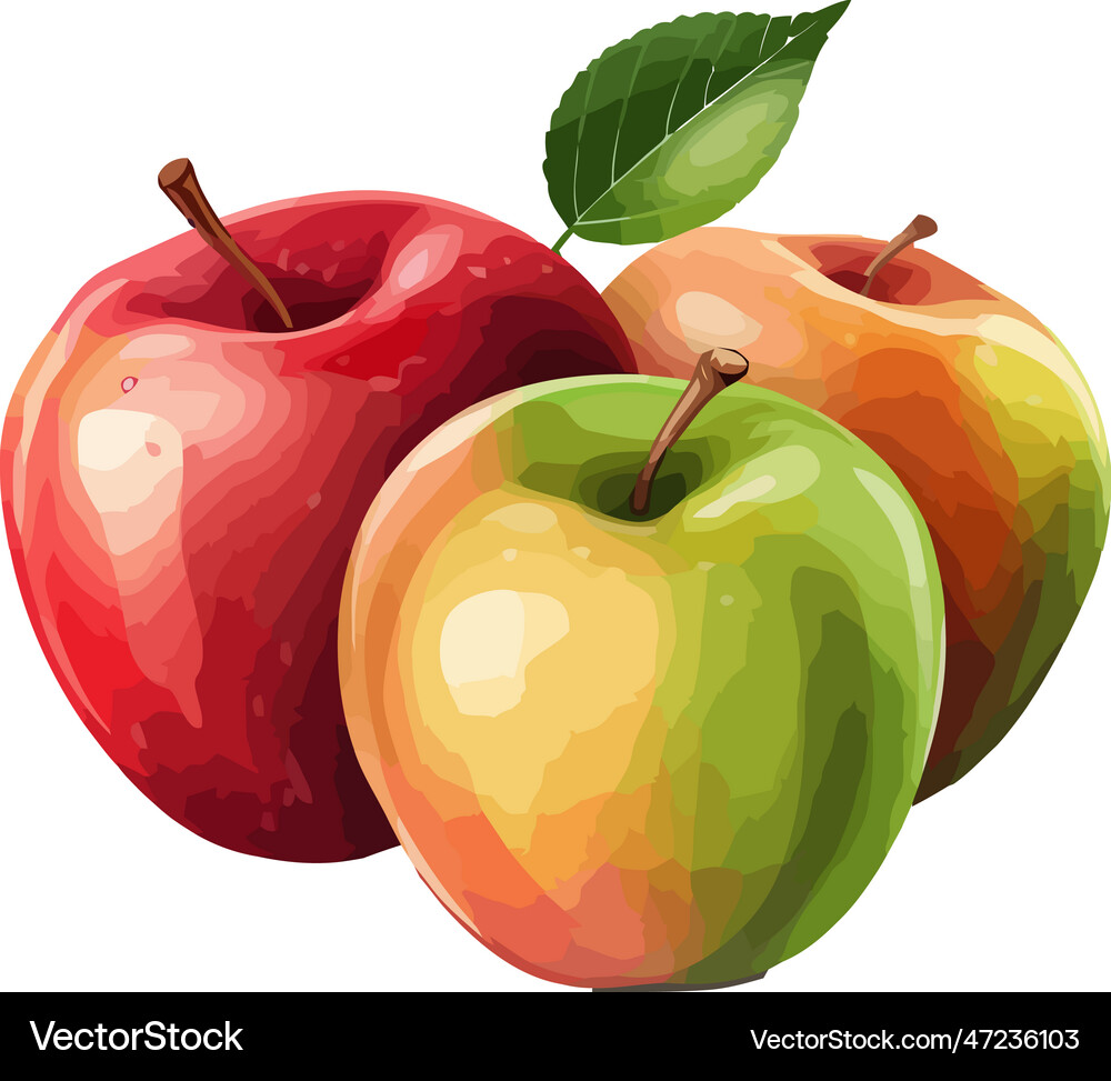 Juicy apples symbolize eating and freshness Vector Image