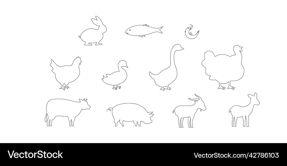 Meat symbols set for product packaging label Vector Image