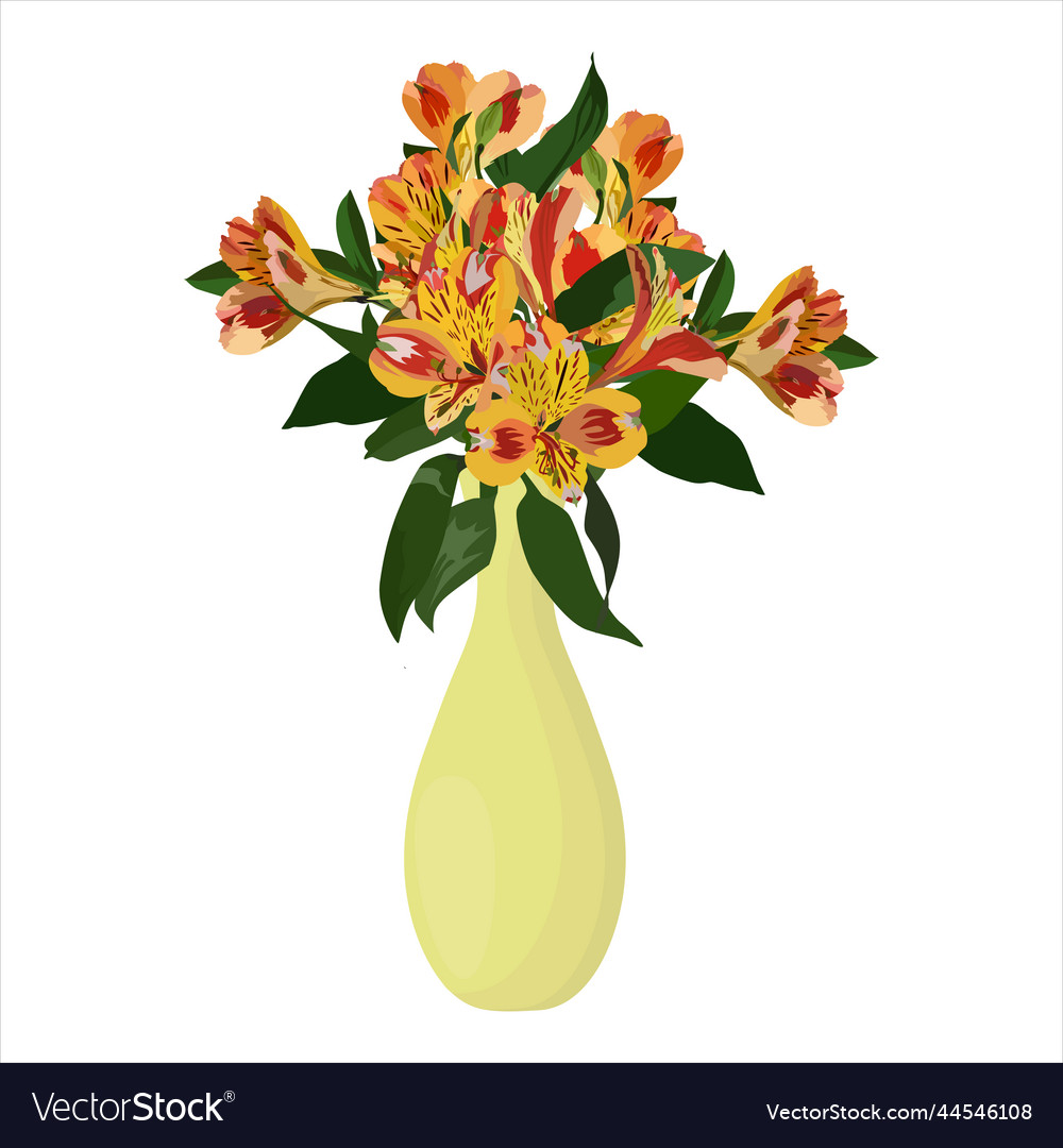 Alstroemeria tropical flower peruvian lily Vector Image