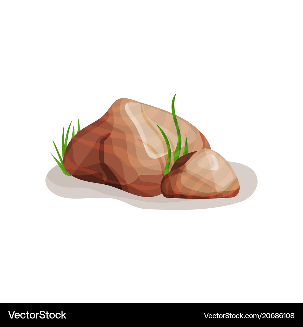 Brown rock stone design element of natural Vector Image