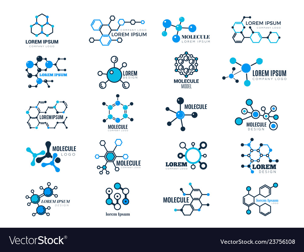 Molecular logotypes evolution concept formula Vector Image