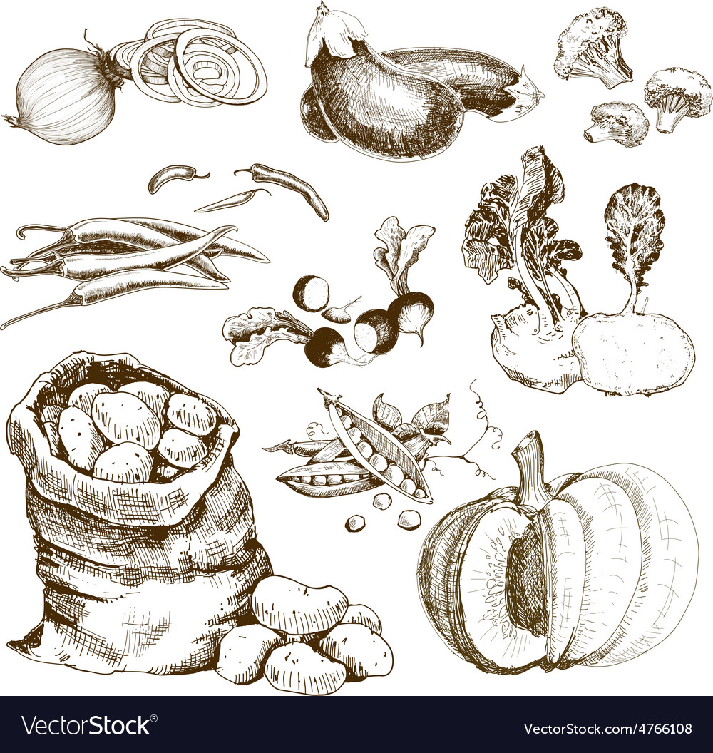 Vegetables collection Royalty Free Vector Image