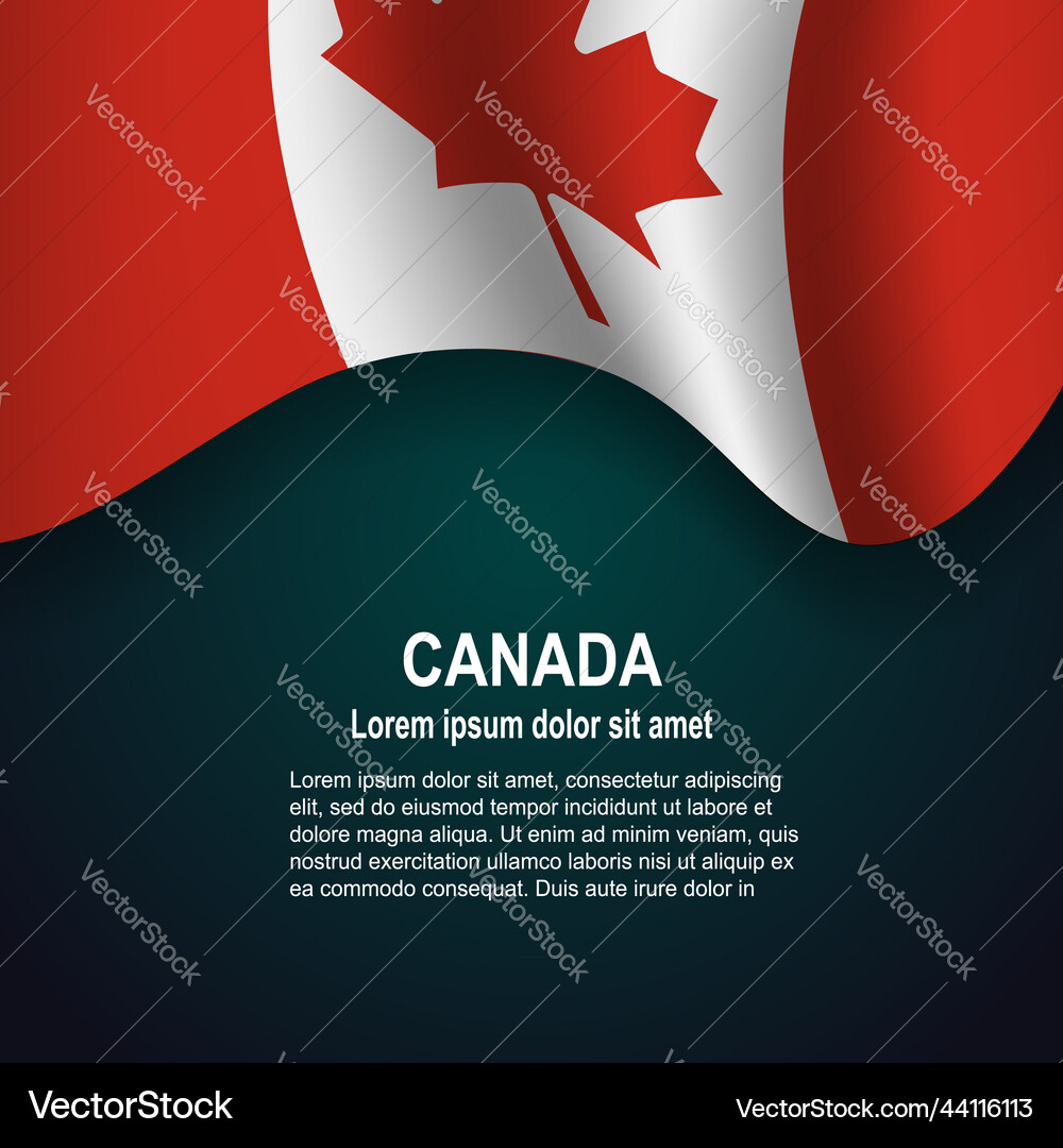 Flag of canada waving with copyspace on dark Vector Image