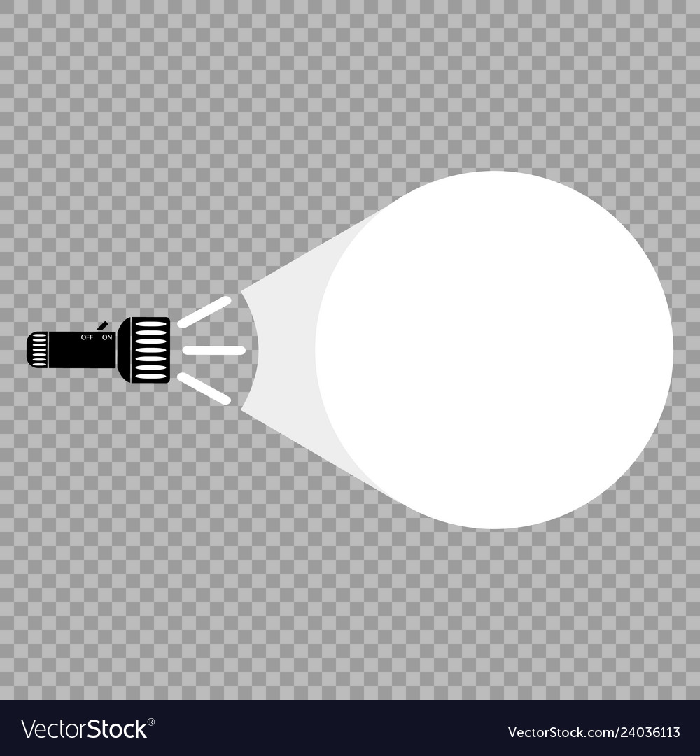 Lashlight with flash light rays Royalty Free Vector Image