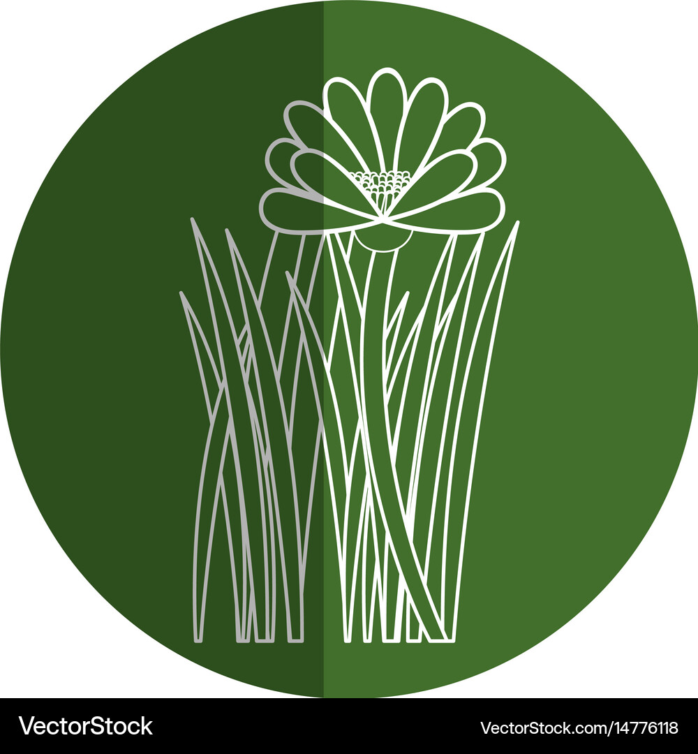 Beautiful flower decoration icon Royalty Free Vector Image