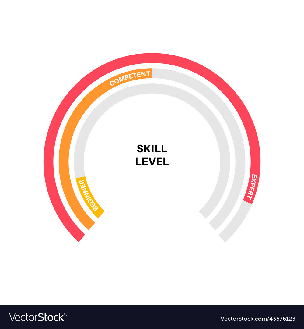 Skill level diagram Royalty Free Vector Image - VectorStock