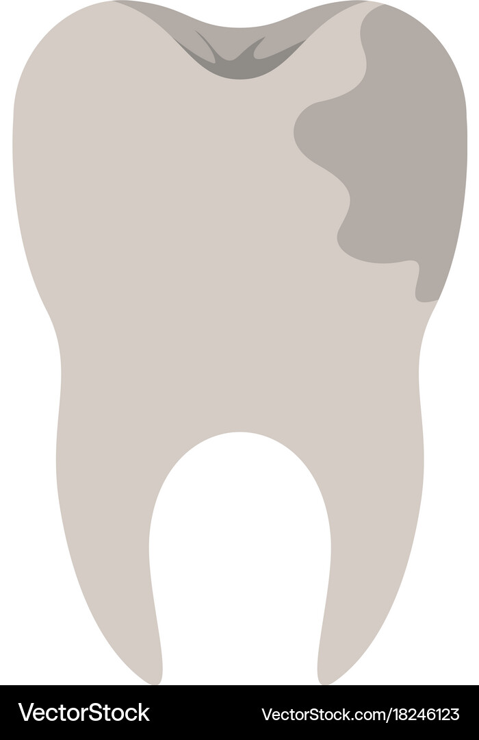 Tooth with root and caries by side in colorful Vector Image