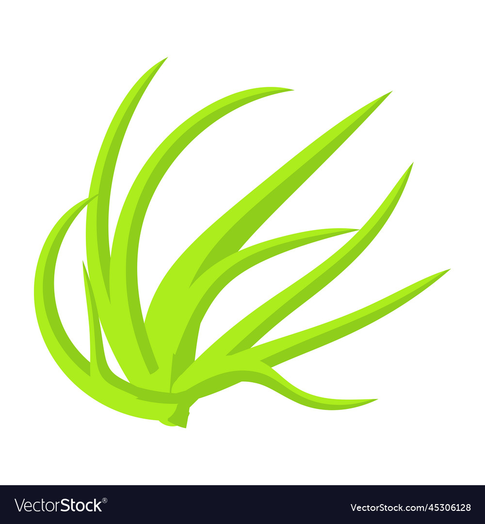 Grass patch Royalty Free Vector Image - VectorStock
