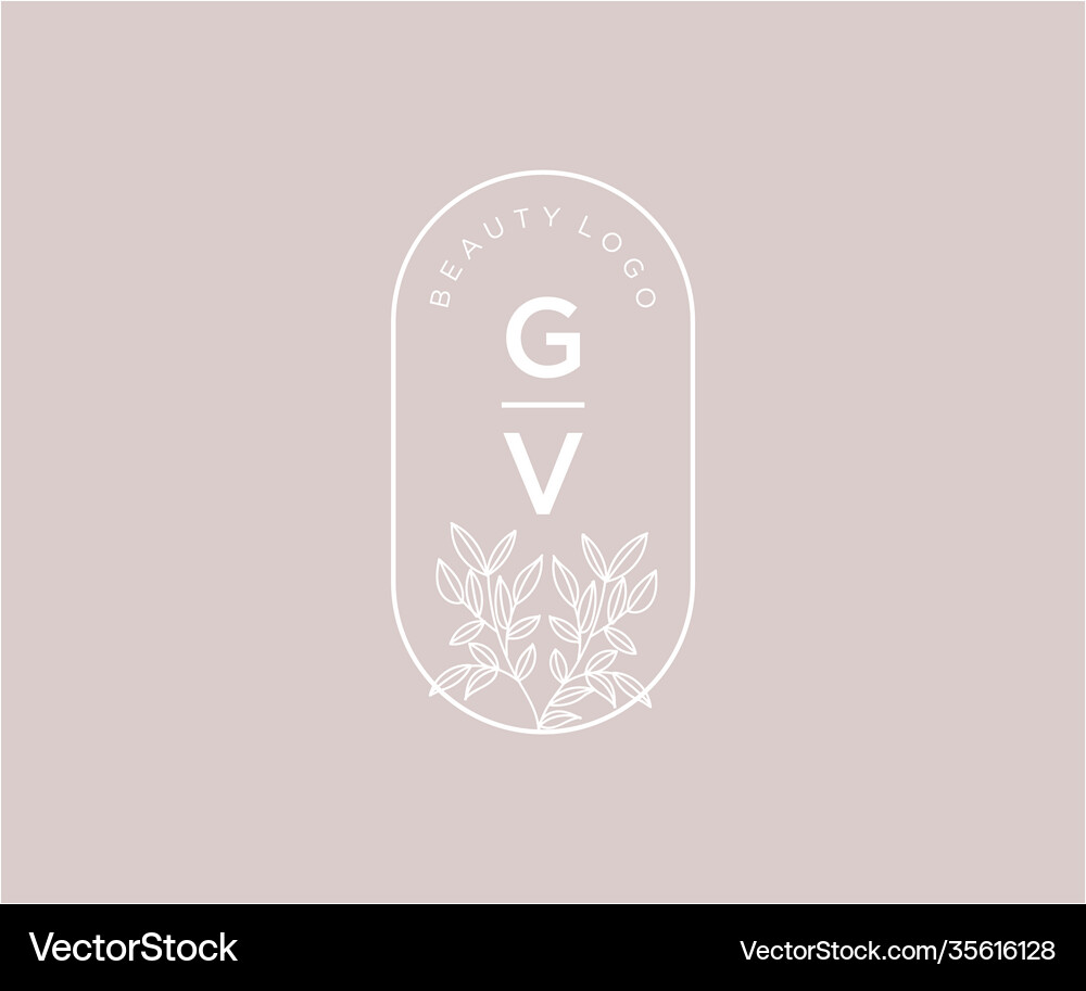 Initial gv letters beautiful floral feminine Vector Image