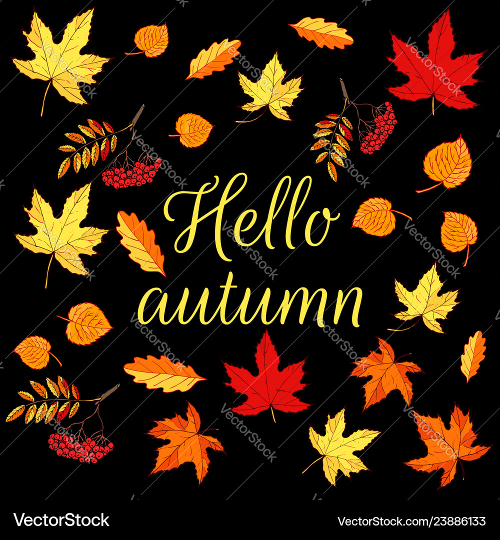 Hello autumn card with colored leaves Royalty Free Vector