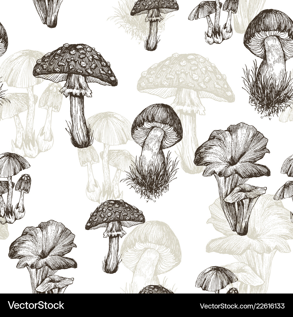 Seamless pattern of highly detailed hand drawn Vector Image