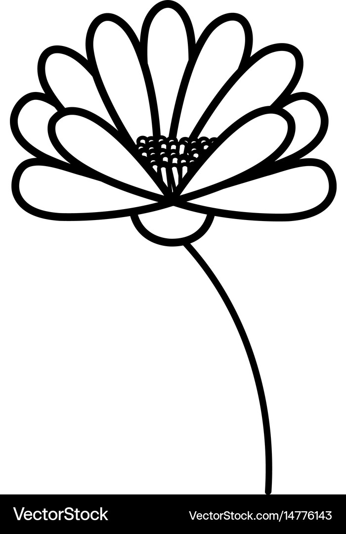 Beautiful flower decoration icon Royalty Free Vector Image