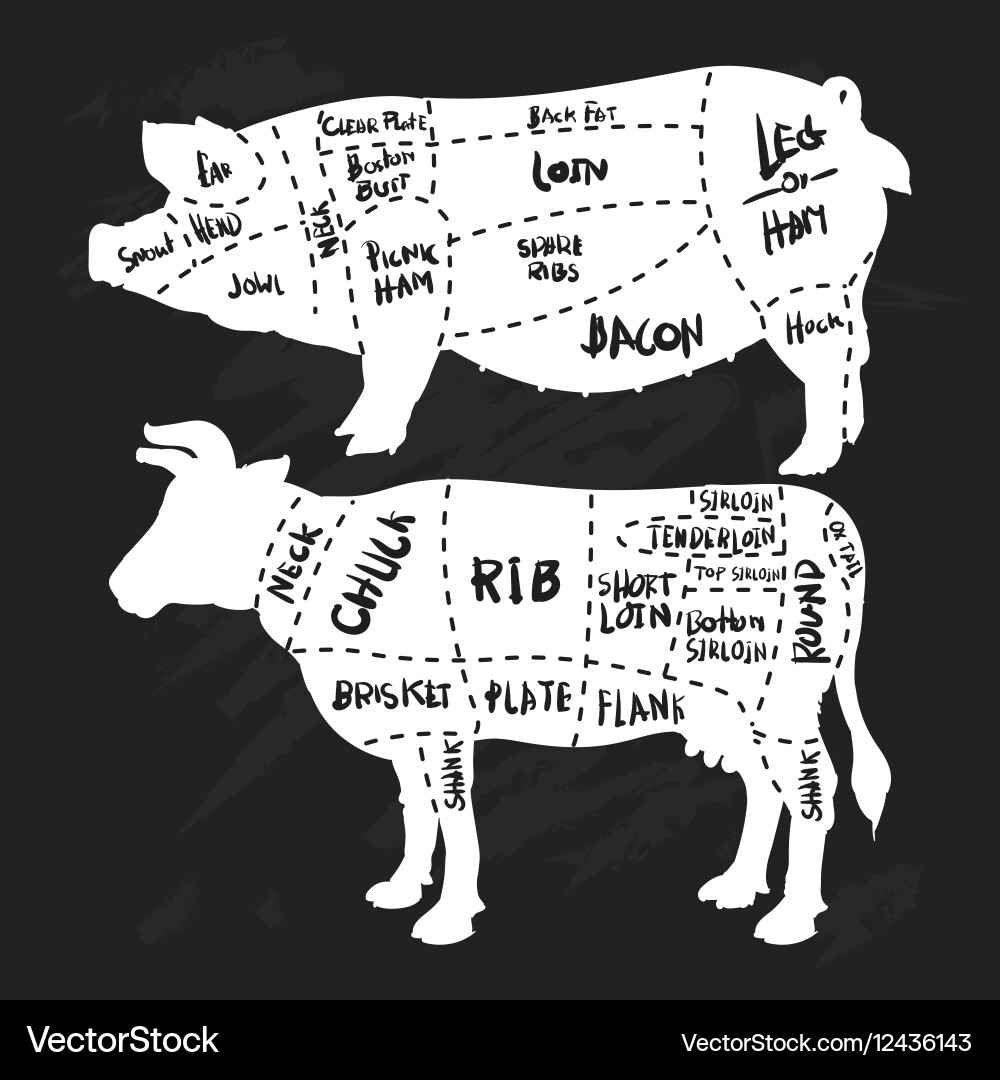 Hand drawn pork and beef cuts diagram butchery Vector Image