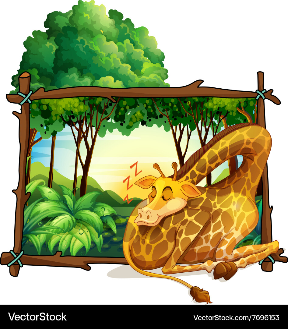 Wooden frame with giraffe in jungle Royalty Free Vector