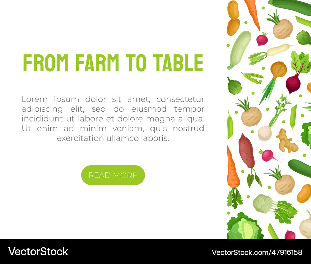 Fresh organic vegetables banner design Royalty Free Vector
