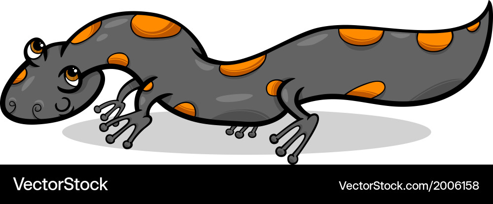 Salamander animal cartoon Royalty Free Vector Image