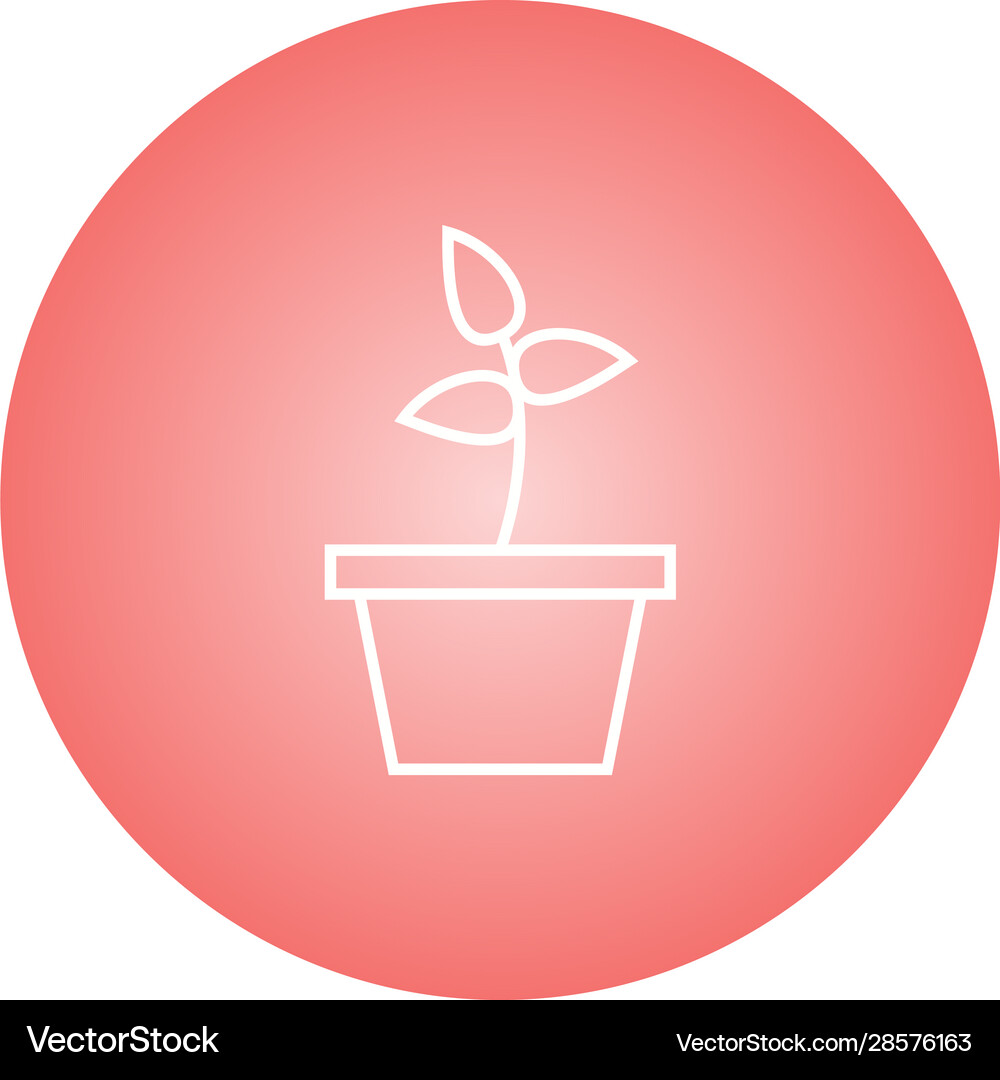 Beautiful planting line icon Royalty Free Vector Image