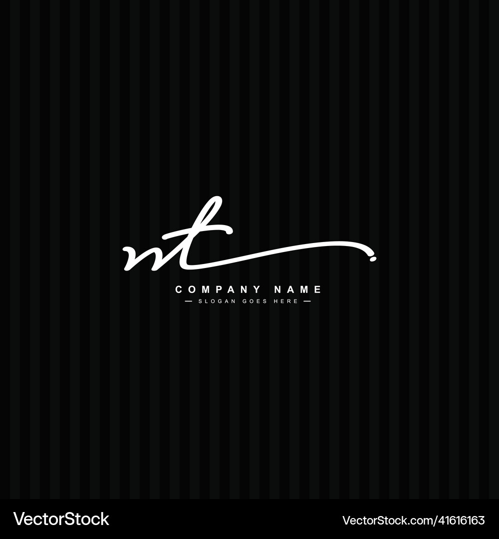 Initial letter nt logo - hand drawn signature Vector Image