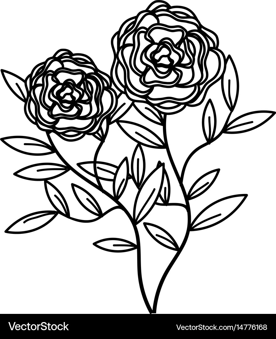 Beautiful rose decoration icon Royalty Free Vector Image
