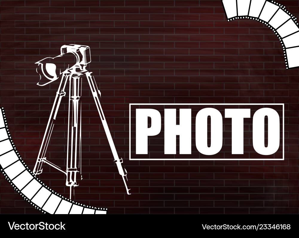 Camera and photos on a brick wall Royalty Free Vector Image