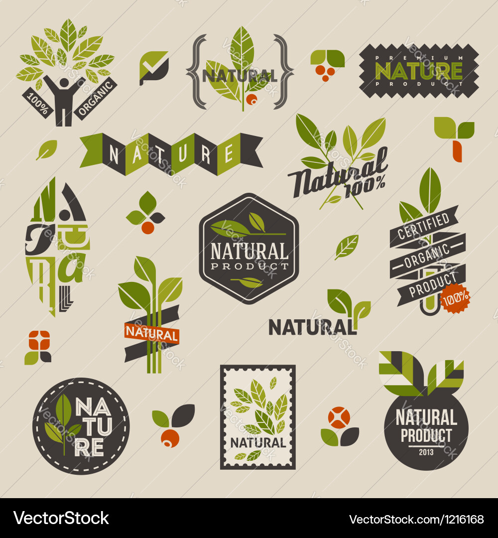 Nature labels and emblems with green leaves Vector Image
