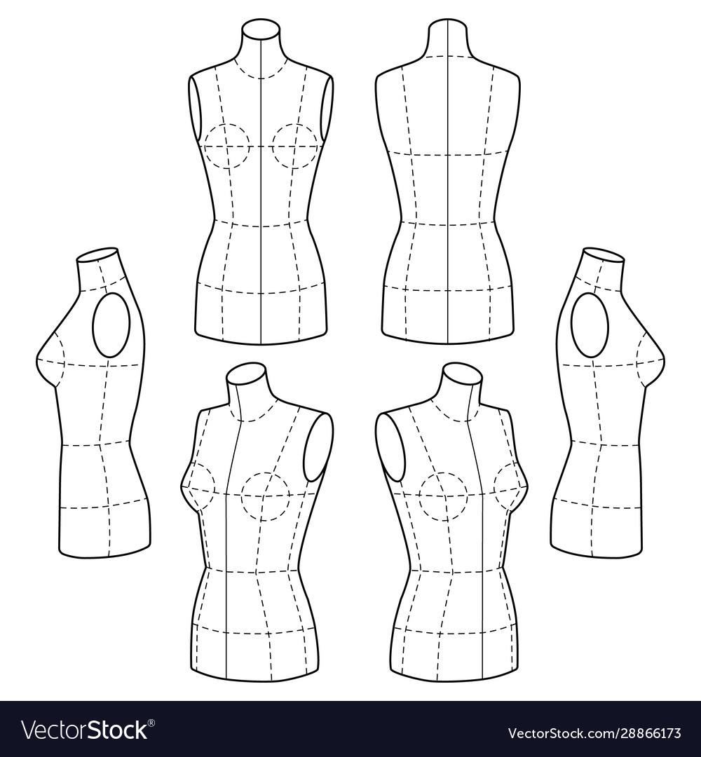 Fashion Mannequin Template Royalty Free Vector Image