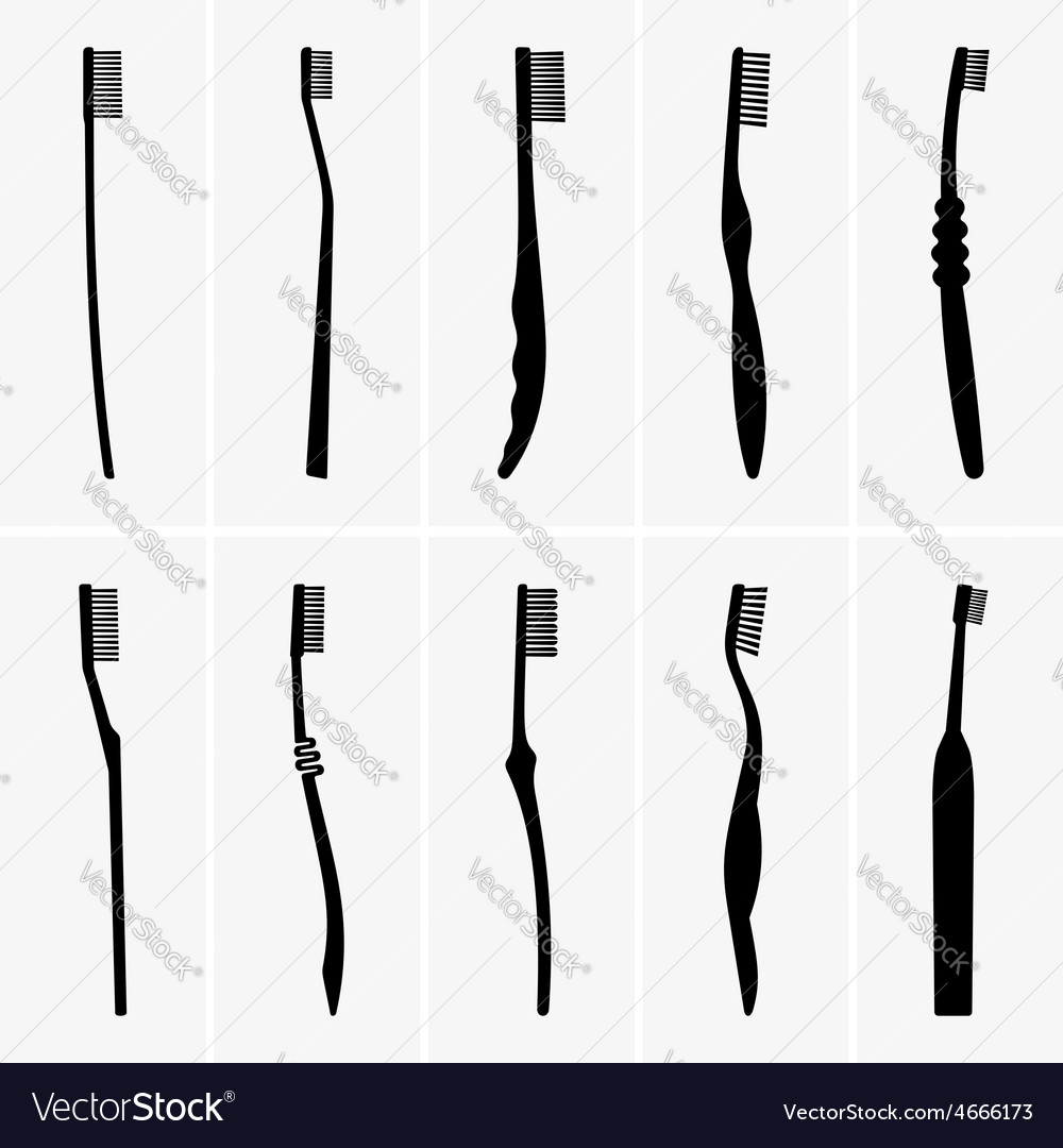 Toothbrushes Royalty Free Vector Image - VectorStock