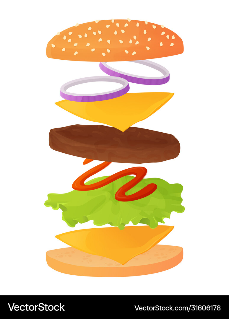 Classic burger ingredients set on layers contain Vector Image