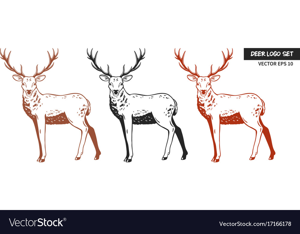 Deer Royalty Free Vector Image - VectorStock