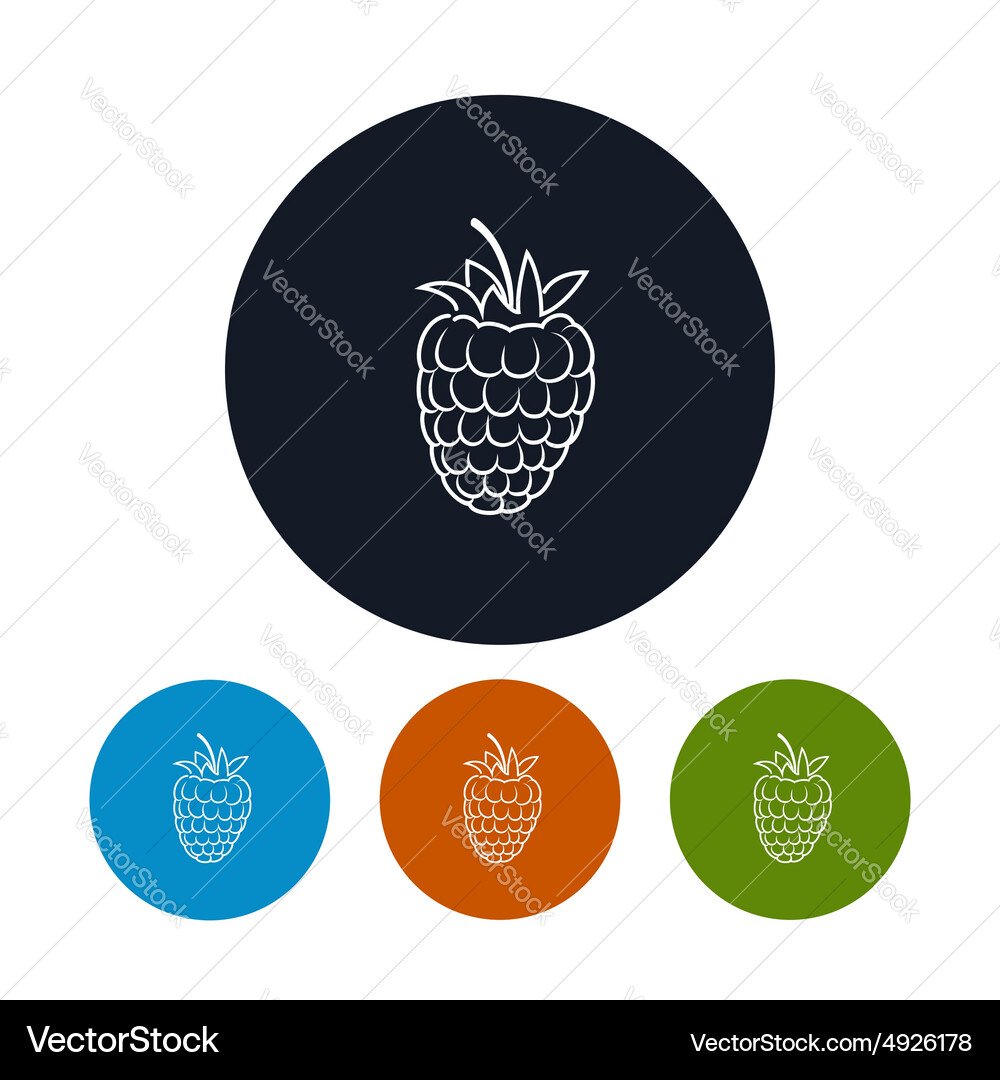 Icon raspberries in the contours Royalty Free Vector Image
