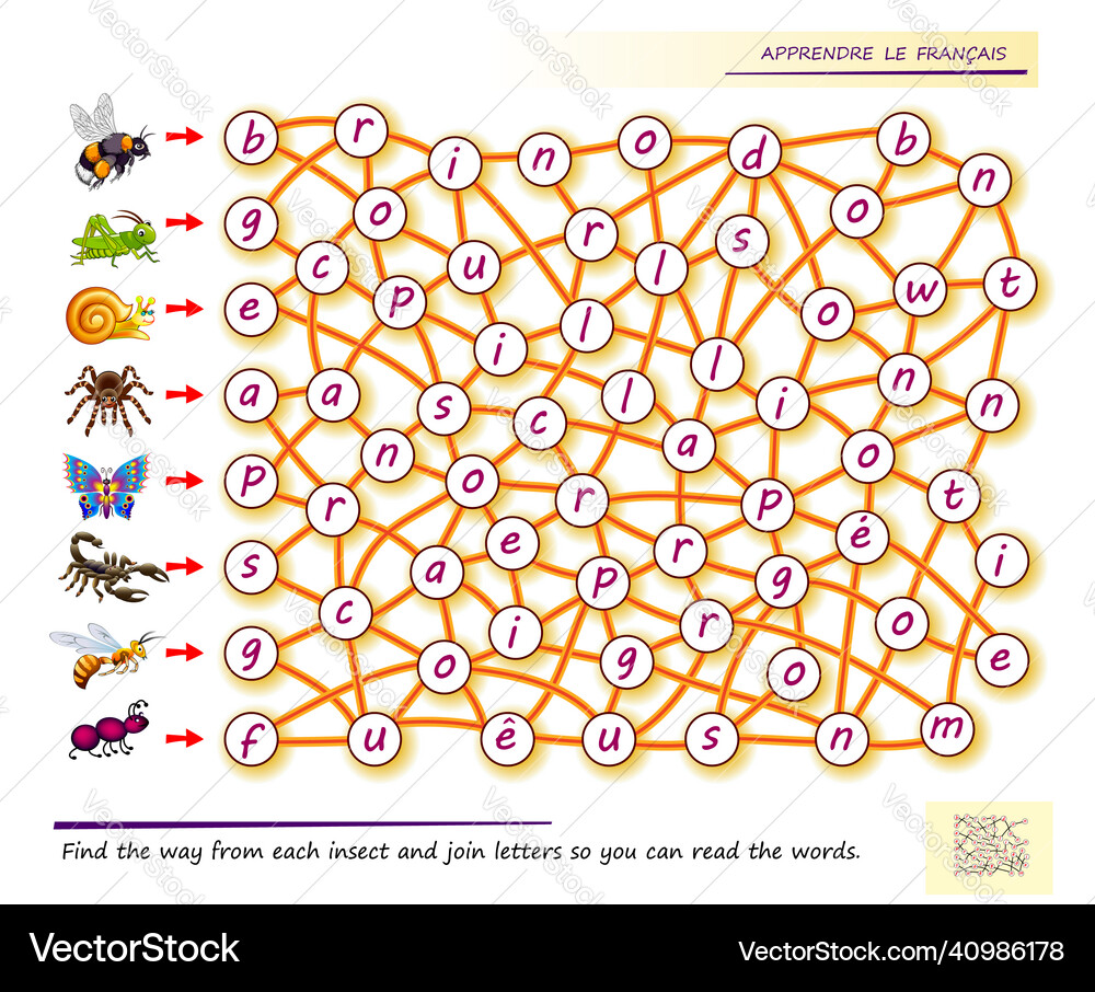 Learn french logic puzzle game for study Vector Image