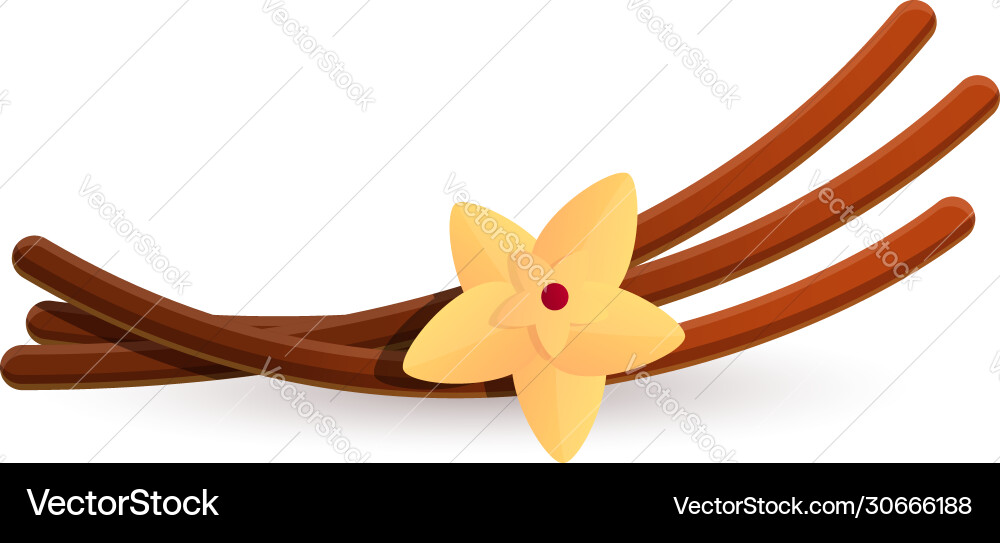 Vanilla sticks icon cartoon style Royalty Free Vector Image