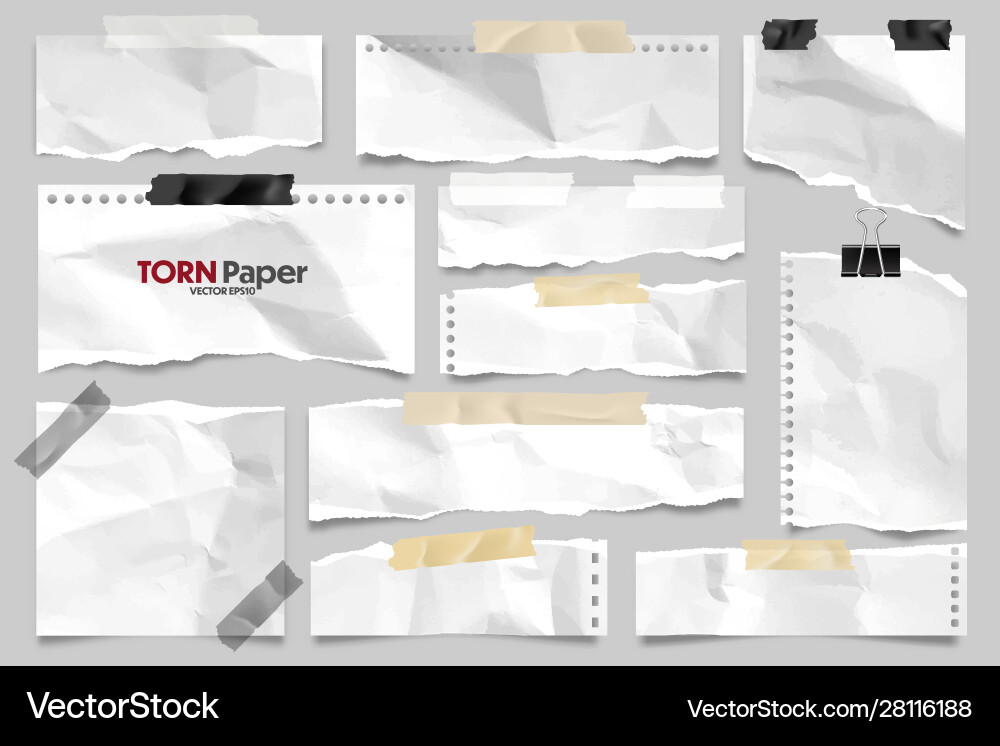 White ripped crumpled paper strips collection Vector Image