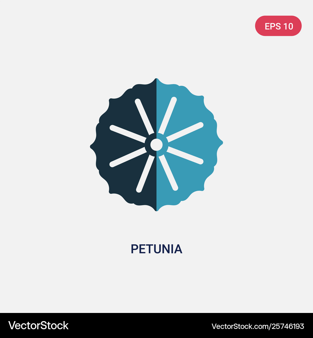 Two color petunia icon from nature concept Vector Image