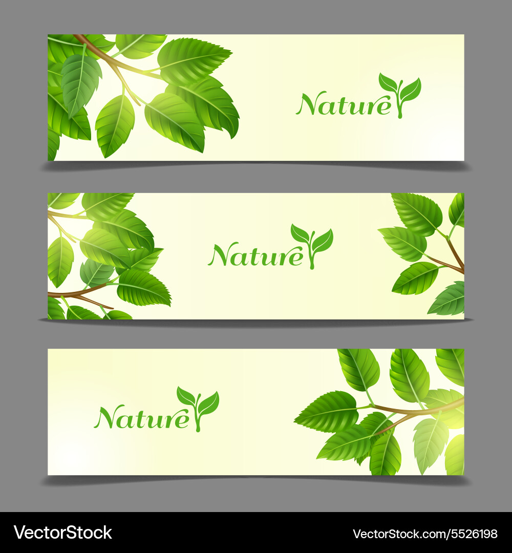 Green leaves eco banners set Royalty Free Vector Image