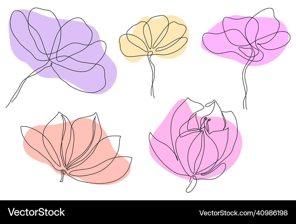 Simple line art spring flowers peonies lily Vector Image