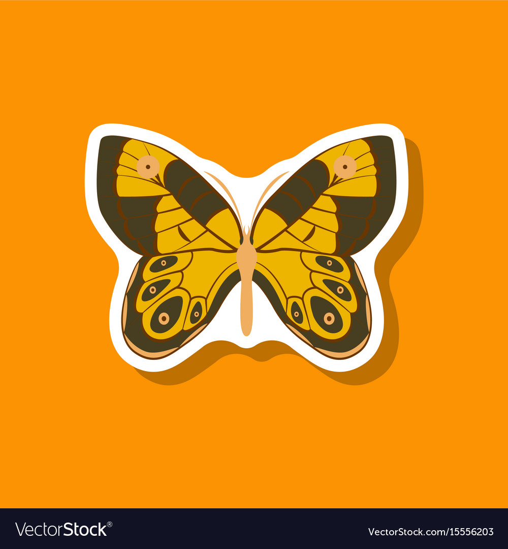 Butterfly Paper Sticker On Stylish Background Vector Image