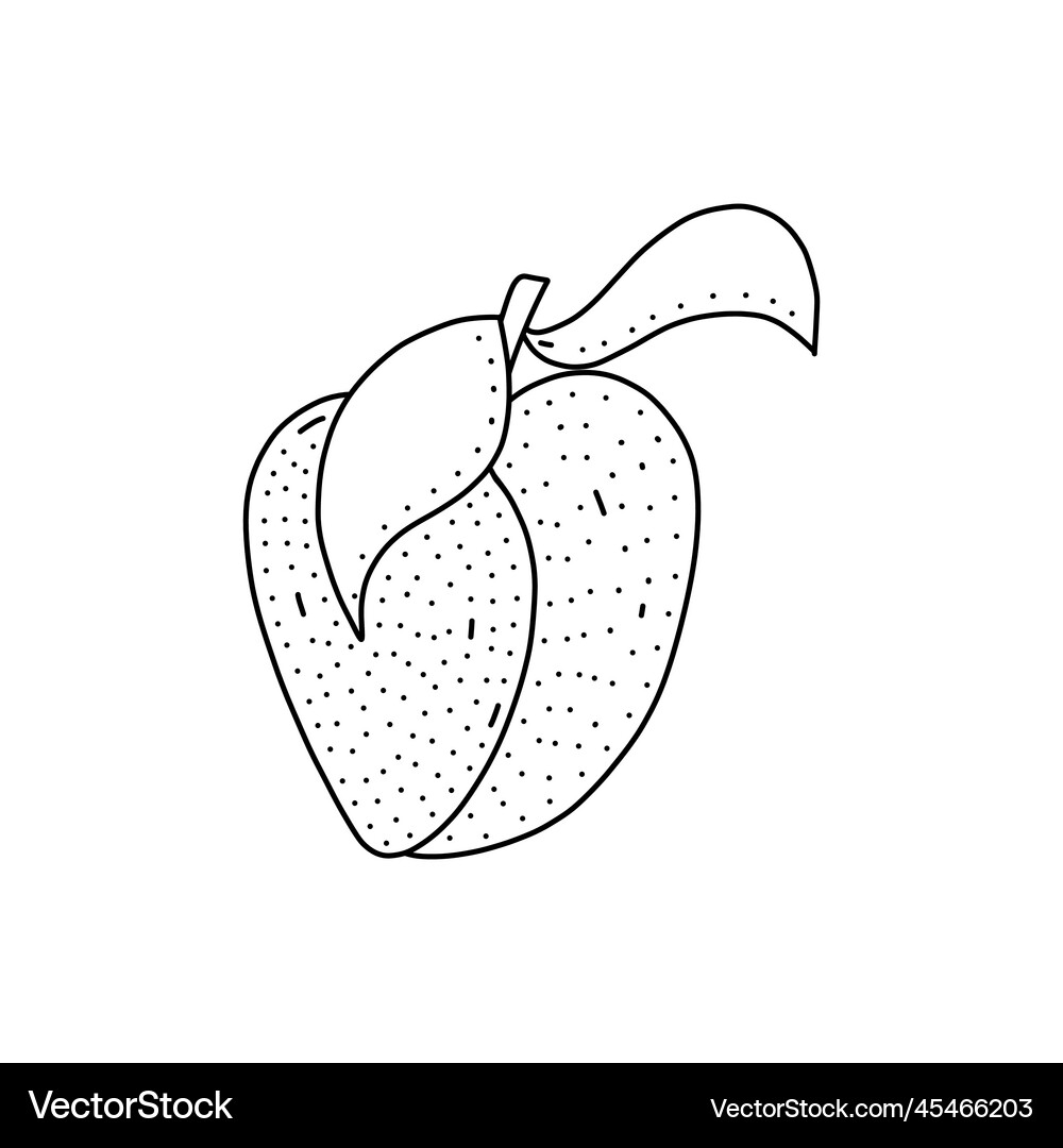Hand drawn of a peach Royalty Free Vector Image