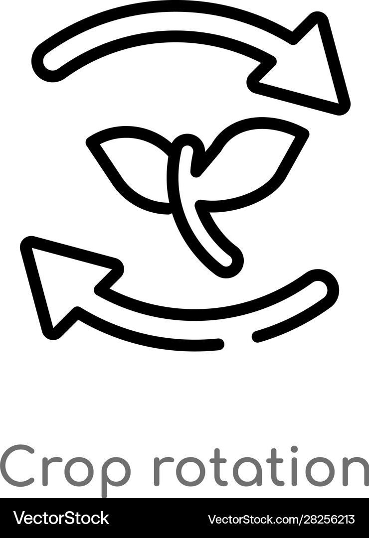 Outline crop rotation icon isolated black simple Vector Image