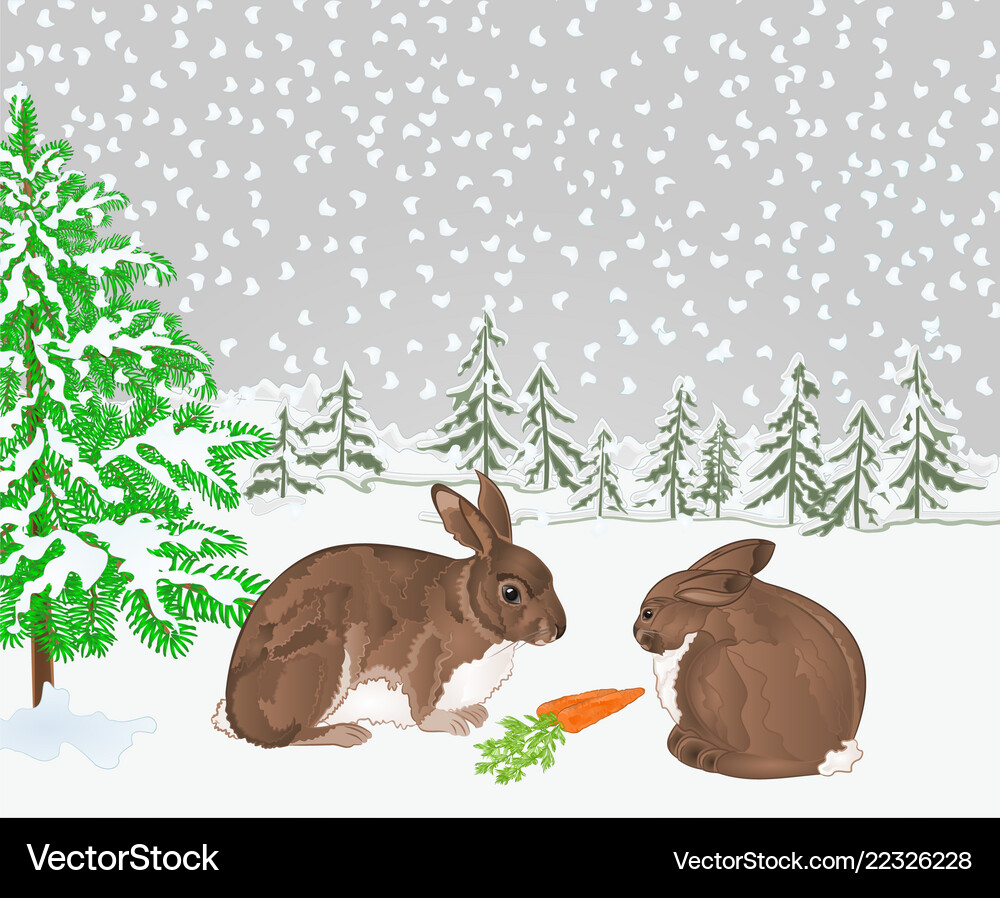 Winter landscape forest with snow with rabbits Vector Image