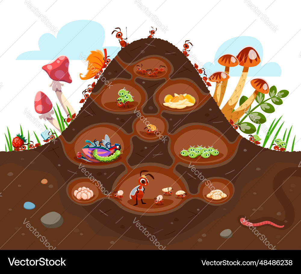 Cartoon anthill colony at soil ant characters Vector Image