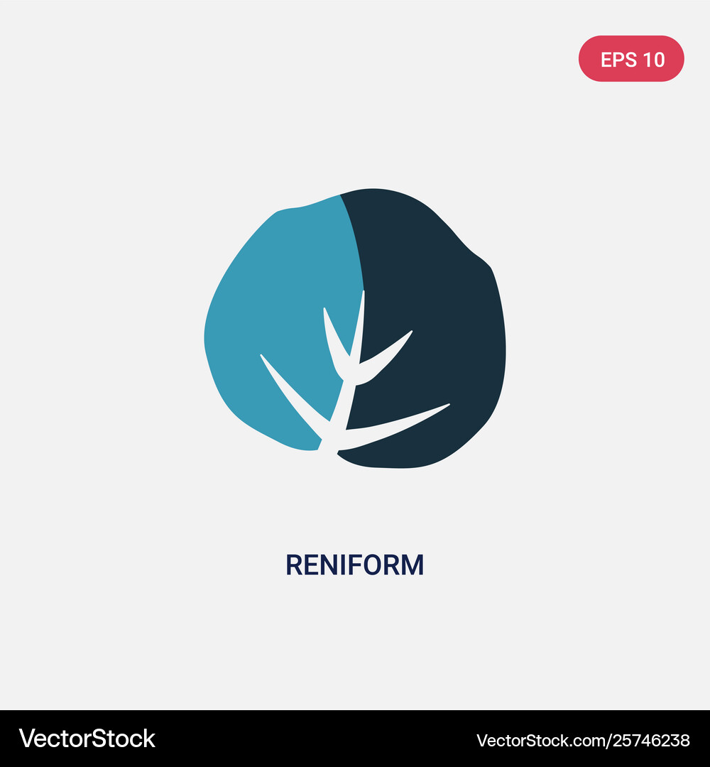 Two color reniform icon from nature concept Vector Image