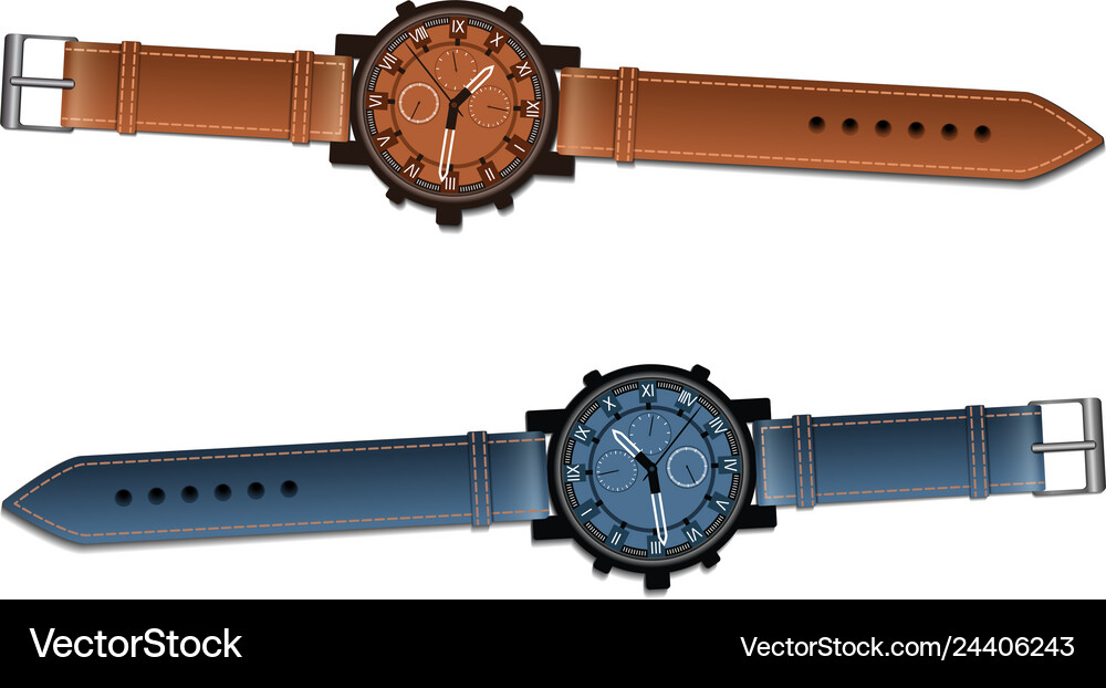 Luxury men watch isolated on a white background Vector Image