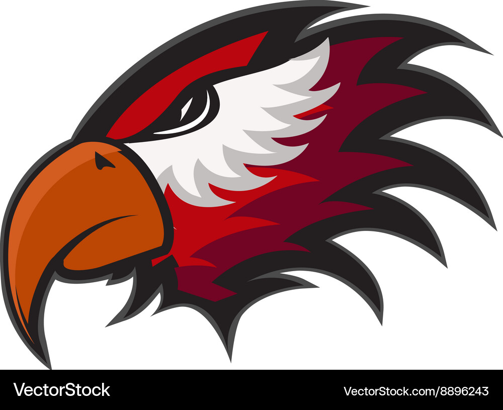 Professional sports logo hawks Royalty Free Vector Image